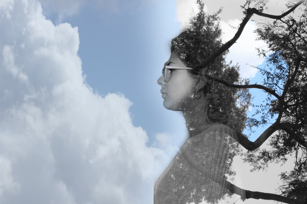 A.P. 2D art: Photography – San Ysidro Photography